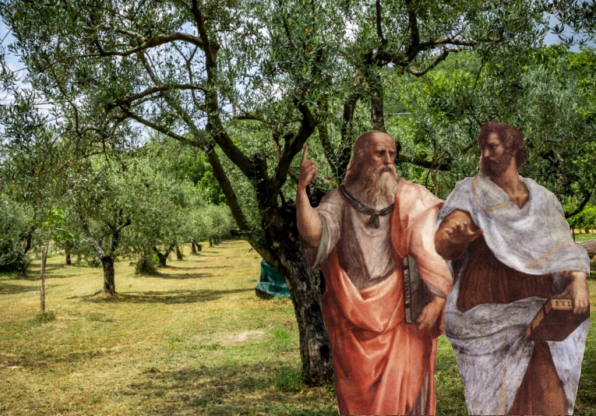 So-Called Normal People « Post45