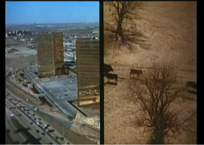 David Berman’s Edge Cities: Poetry, Commercial Real Estate, Municipal ...